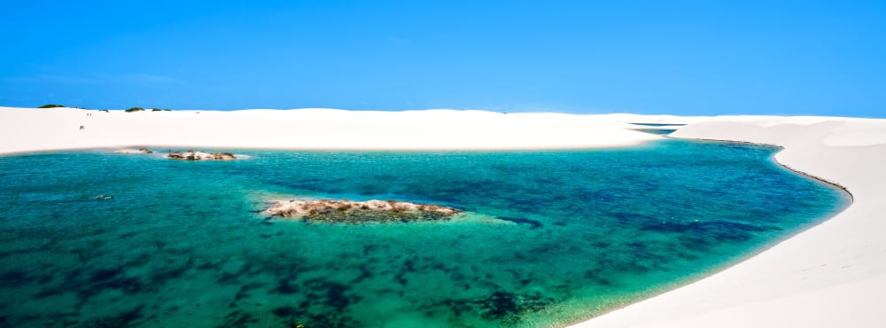 Rondreis Brazilië | Amazonewoud, Pantanal, Rio De Janeiro, Strand ...