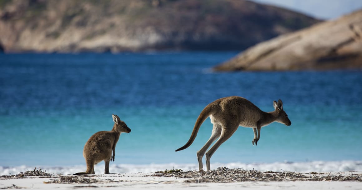 Hoogtepunten van Zuidwest-Australië | Best of Travel