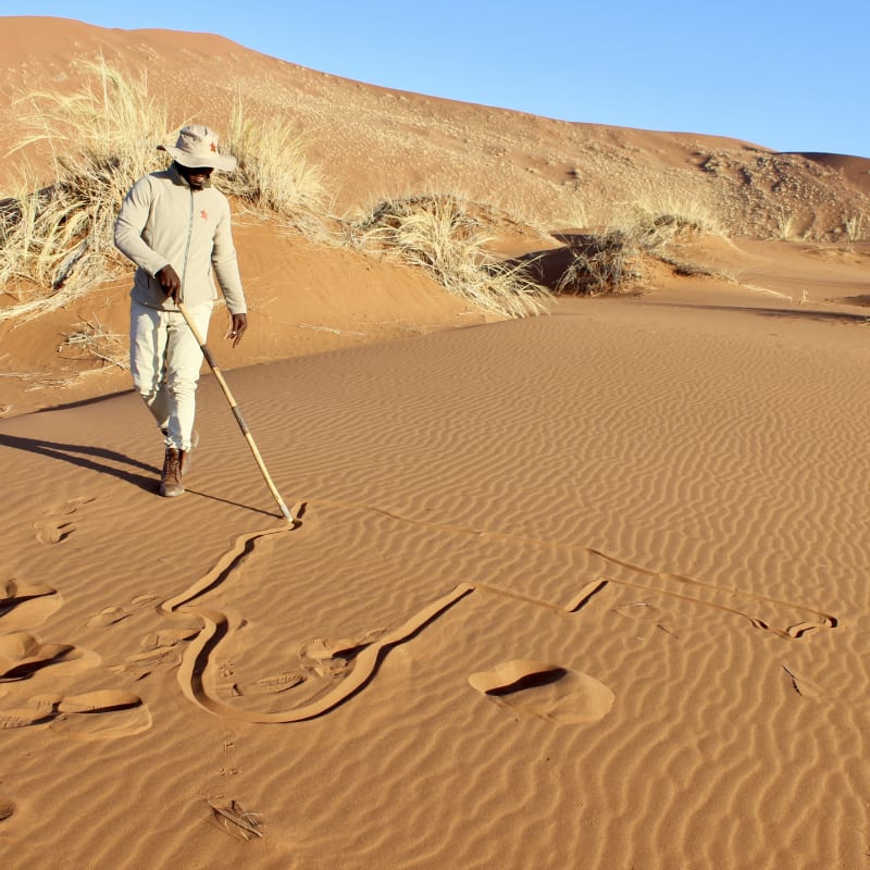 Op avontuur in Namibië met de familie Levecke