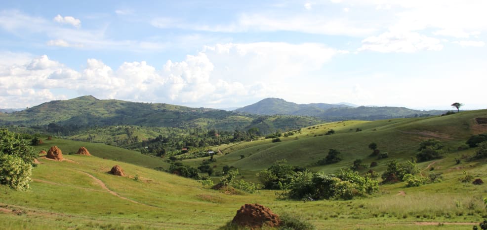 Oeganda | Best of Travel